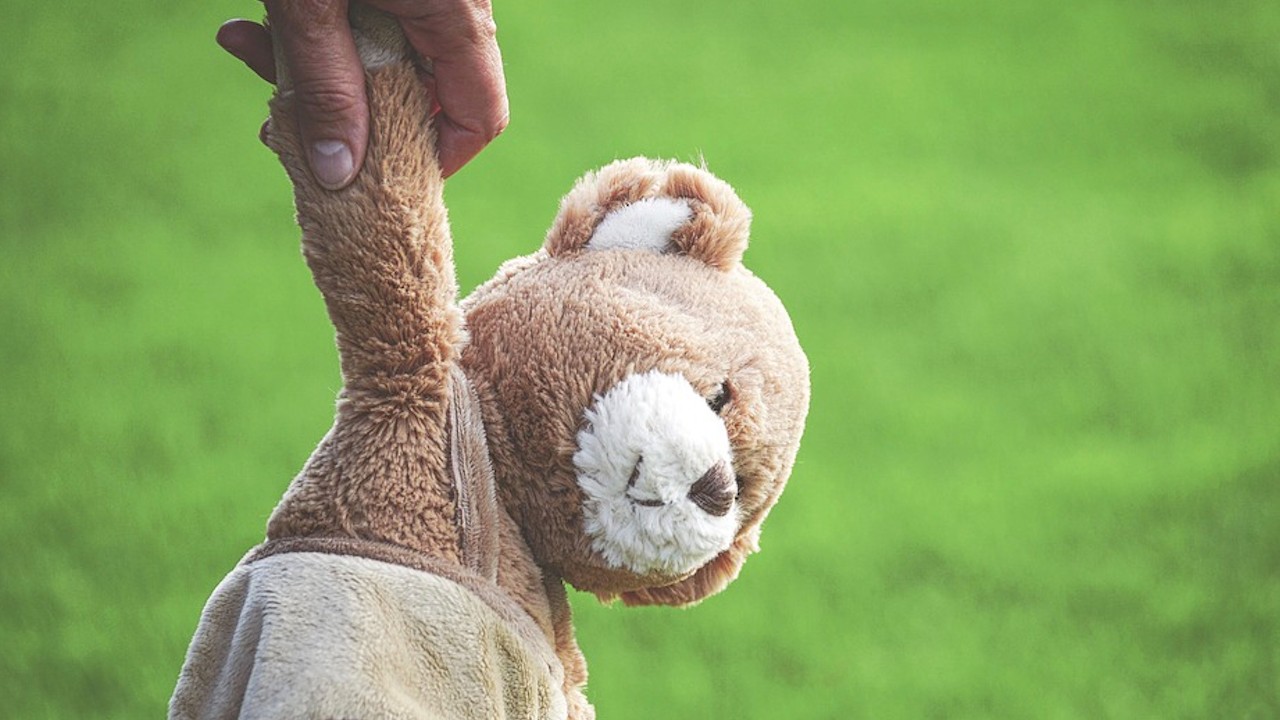 Oso Teddy: Así nació este peluche hace 118 años y es negocio millonario