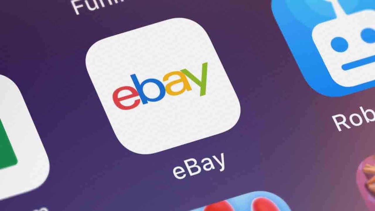 Top 5: Las subastas más estúpidas en la Historia de eBay